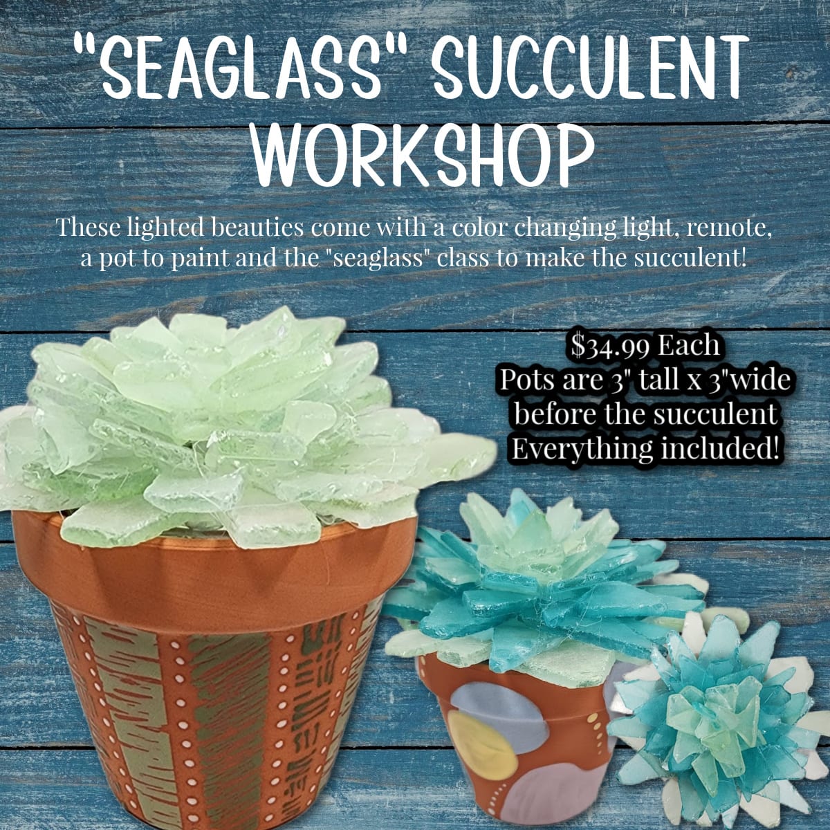 "Sea Glass" Succulent Class