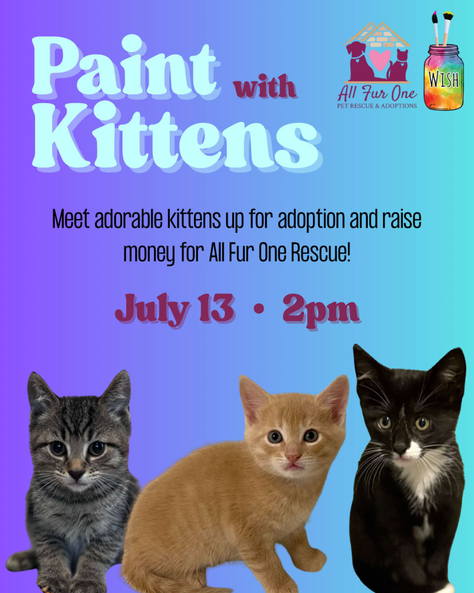 Paint with Kittens from All Fur One Rescue