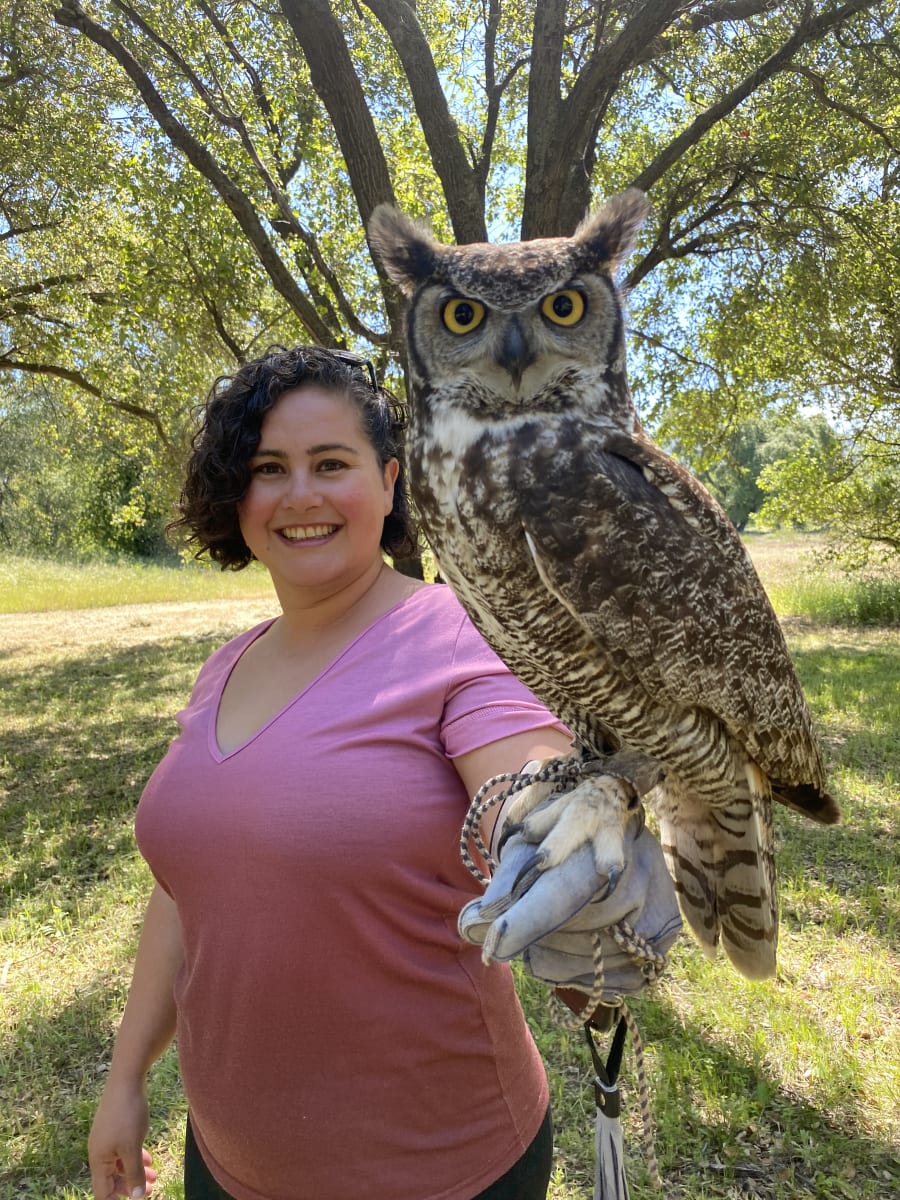 Owl Encounter & Flight: A Window into the World of Owls