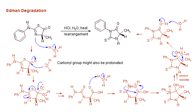 Electron Pushing in Organic Chemistry