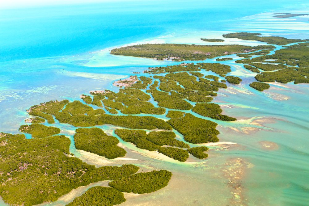 Florida Keys Holidays for Couples | Ocean Florida Blog