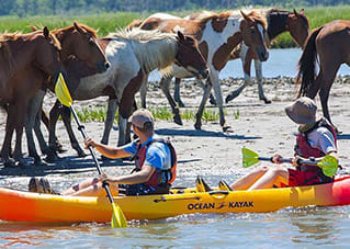 Chincoteague Pony Swim Kayak with shuttle 2026 & 2027 | Ocean Florida