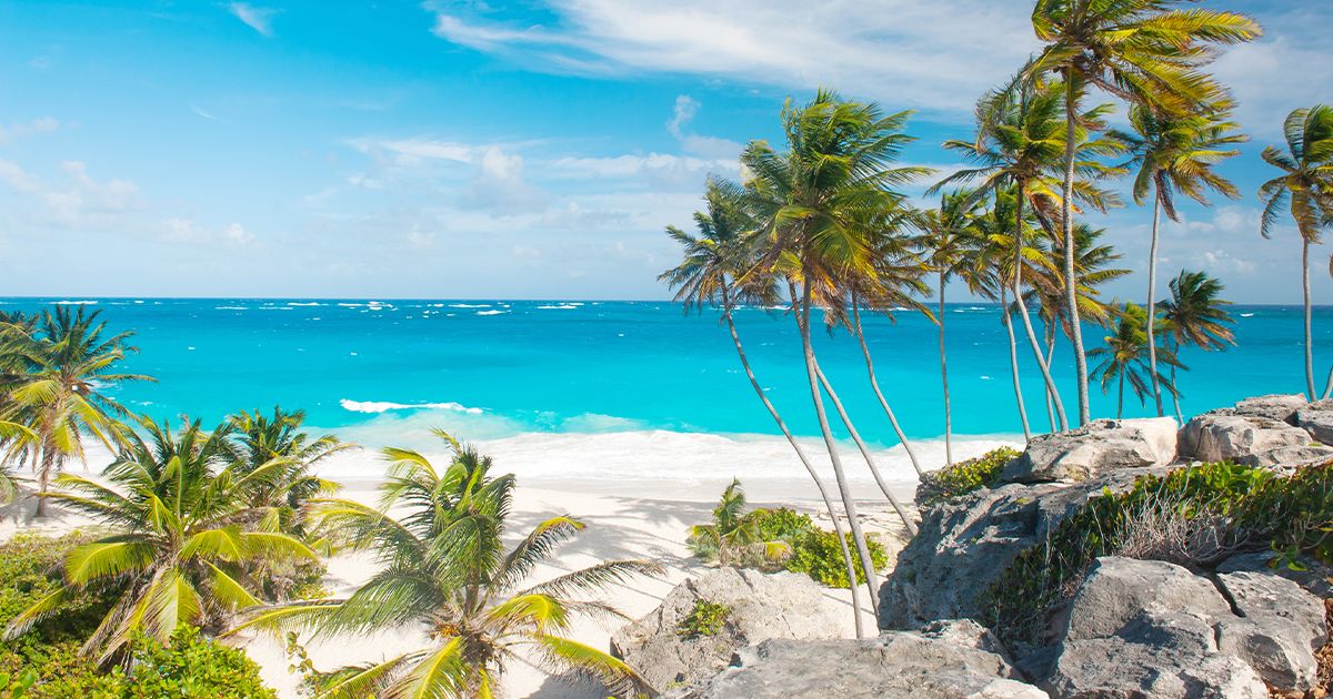 38 interesting facts about Barbados we bet you didn't know | Winged Boots