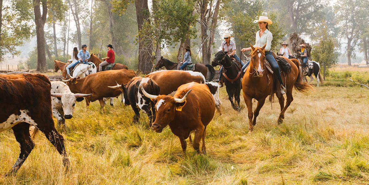 Why ranching is the incentive travel trend sweeping the US