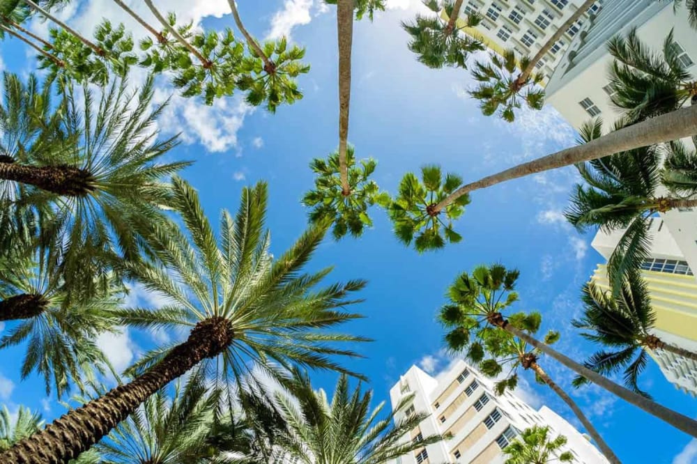 When to Visit Florida for the Best Weather | Ocean Florida