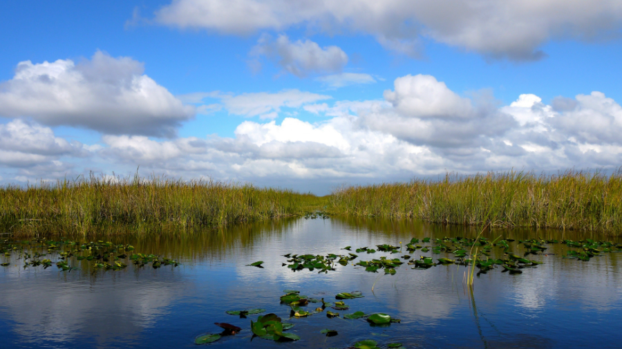 Everglades National Park Florida Keys | Ocean Florida