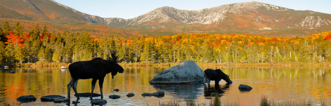 New England Holidays 2021 & 2022