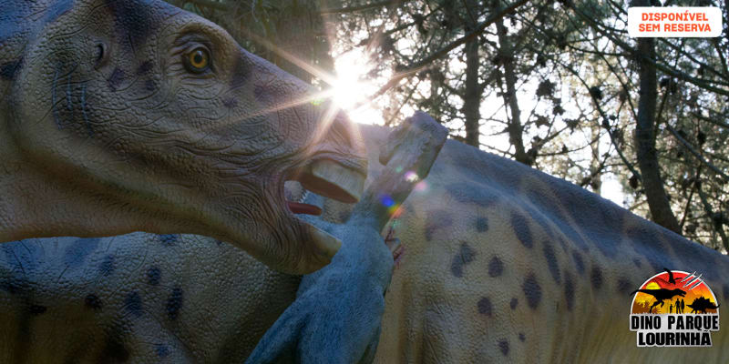 Dino Parque da Lourinhã - Uma Viagem de 400 Milhões de Anos! Entrada ...