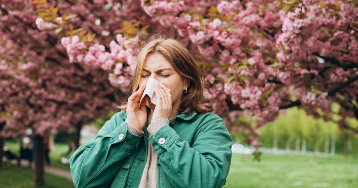 7 gestes simples pour réduire les symptômes des allergies saisonnières