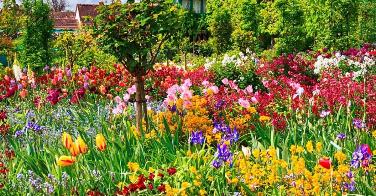 European gardens. Specialist tours for small groups of mature ...