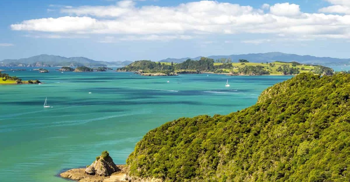 Bay of islands | Definitive guide (2021) for seniors - Odyssey Traveller