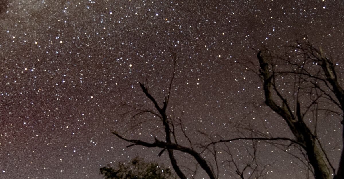 Ancient Aboriginal trade routes of Australia | Odyssey Traveller