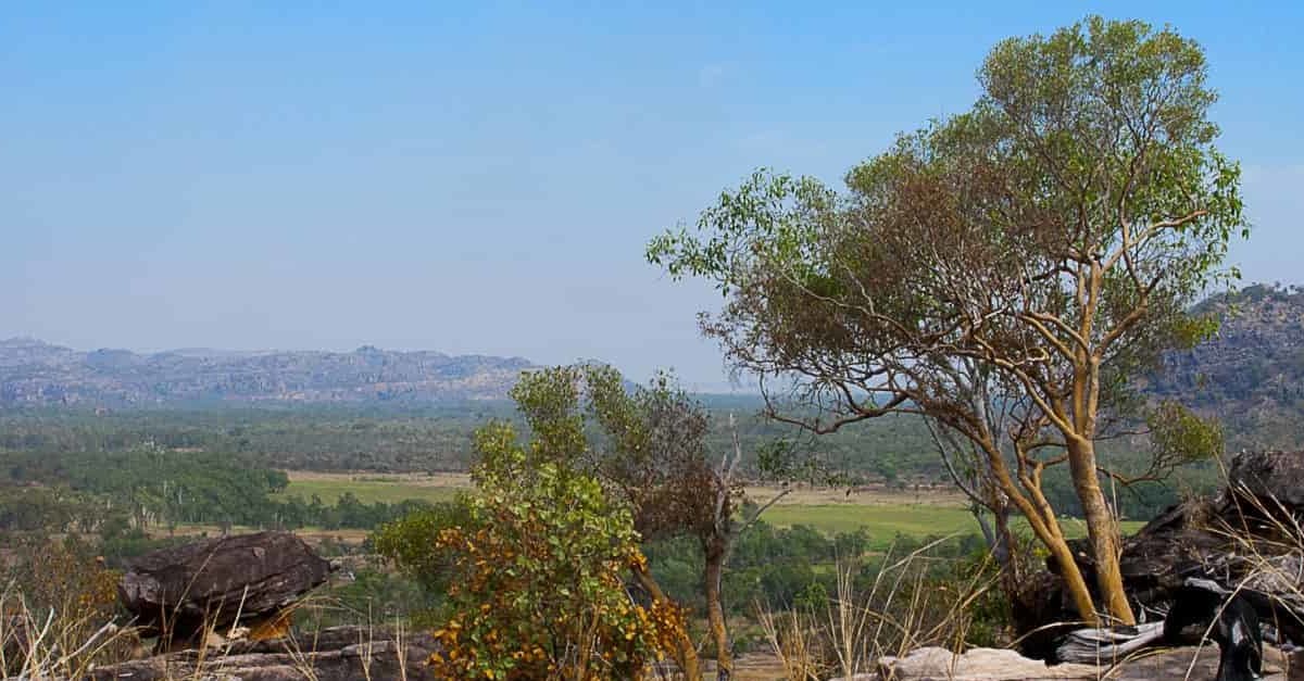 Arnhem Land, Northern Territory | Odyssey Traveller