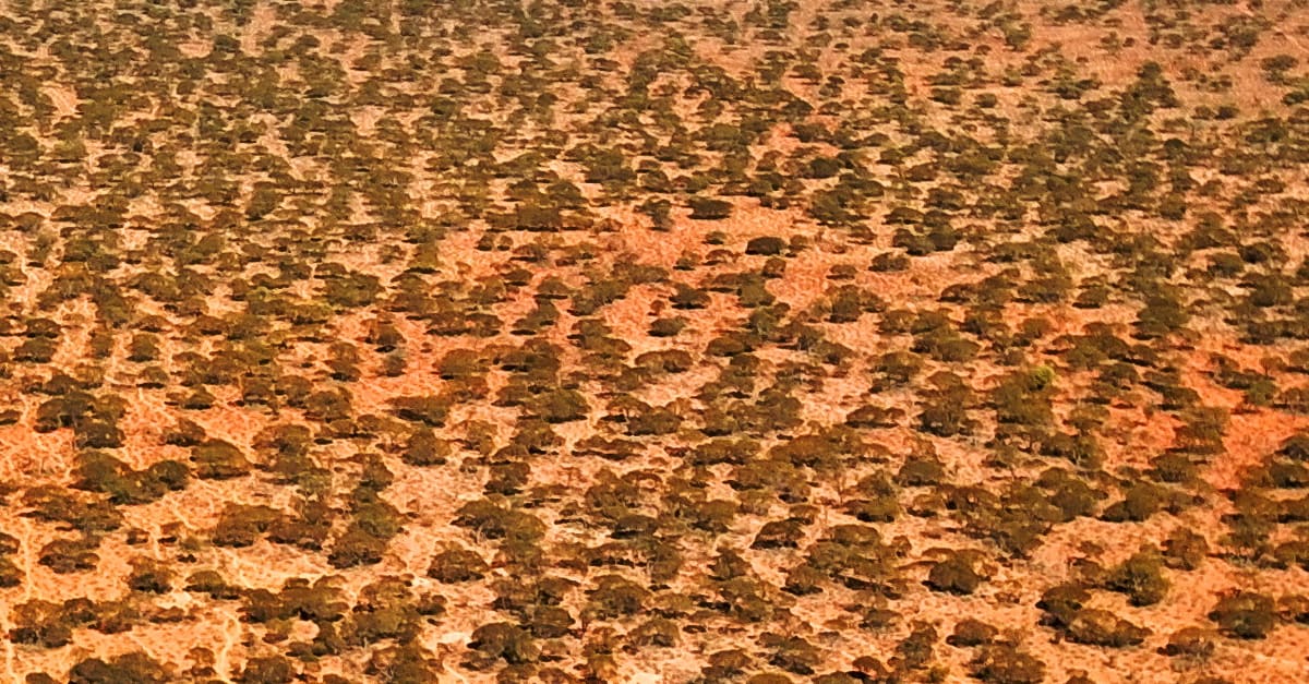 Nullarbor plain | Article for mature travellers - Odyssey Traveller