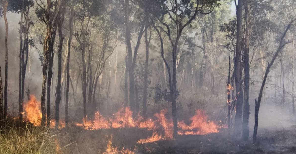 Aboriginal fire management | Introduction to seniors - Odyssey Traveller