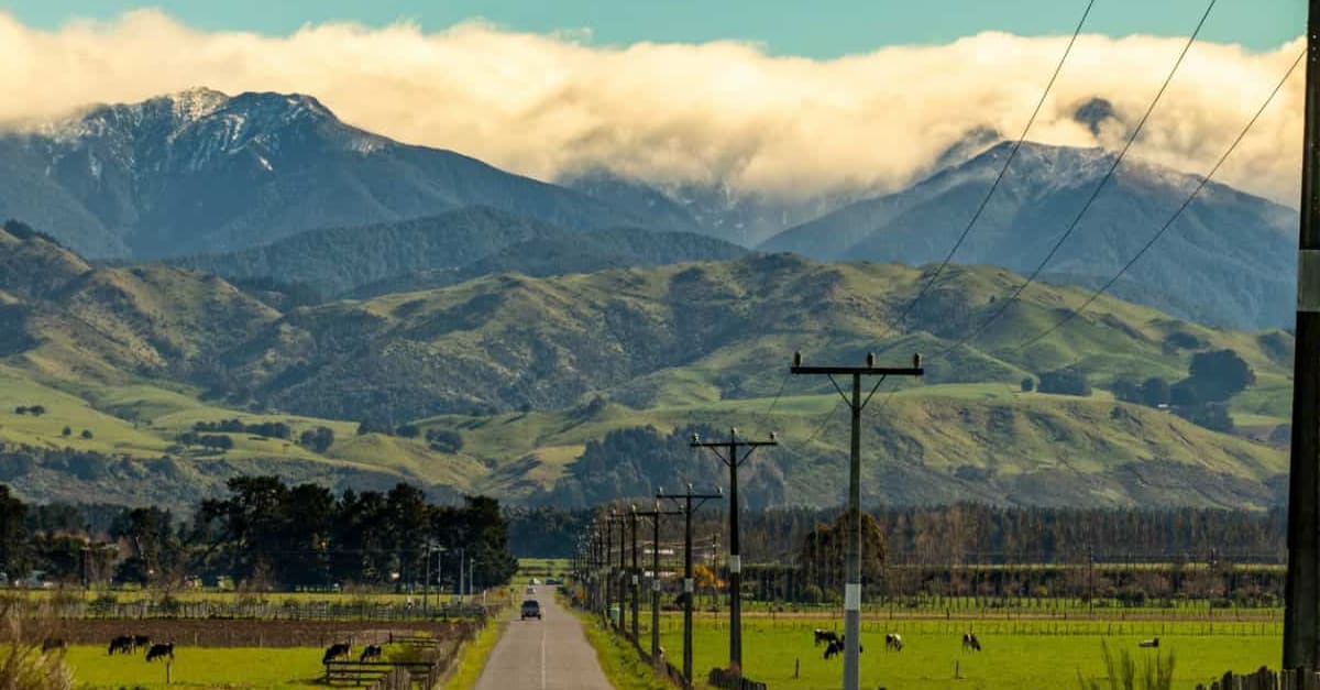 Wairarapa | Learn more on a seniors small group tour- Odyssey Traveller