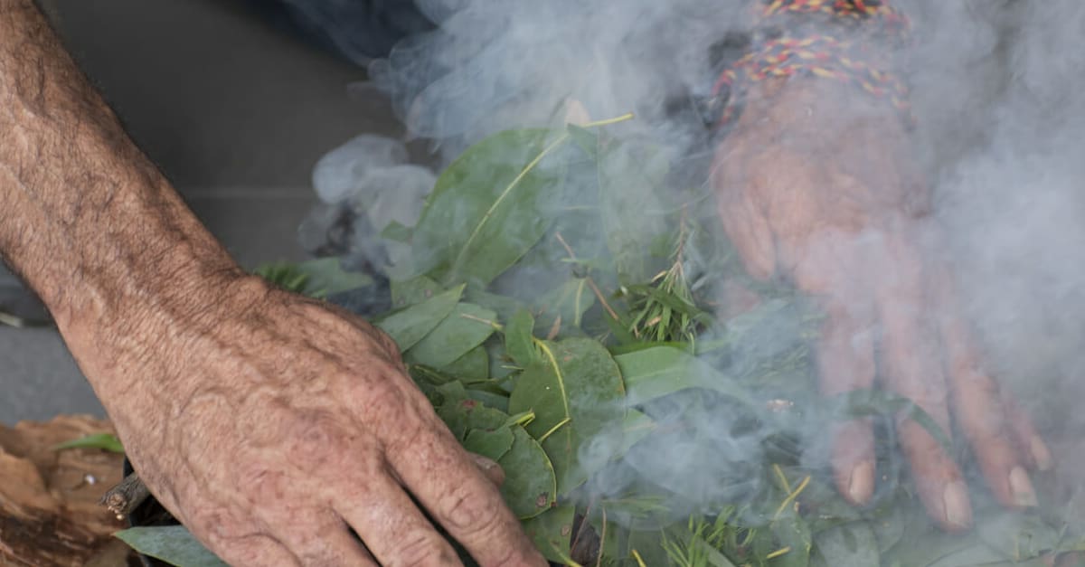 Aboriginal kinship system | article for small group tours - Odyssey ...