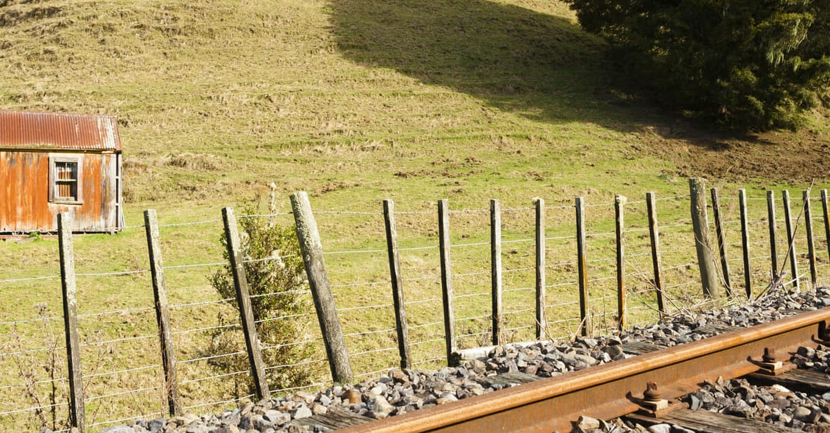 Article on Nelson NZ | Small group tours - Odyssey Traveller