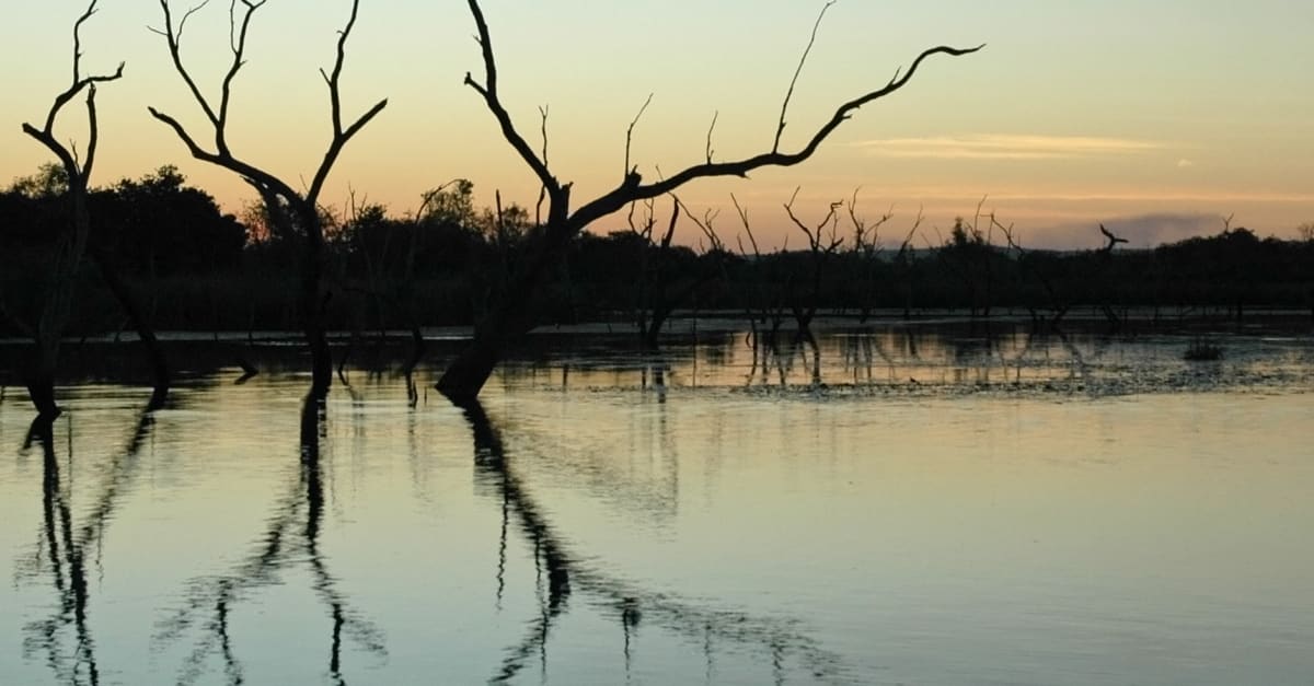 Ord River Western Australia | Article for senior travellers- Odyssey ...