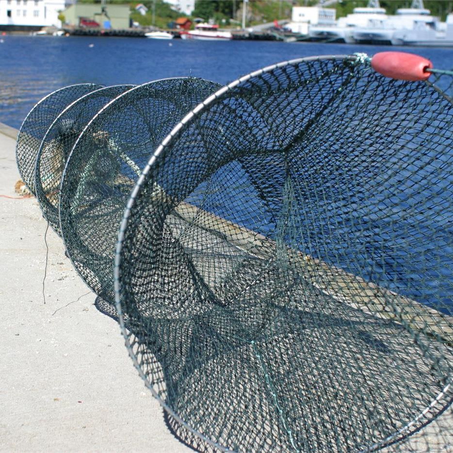 Ruser og fiskeliner og snørefiske i nettbutikken