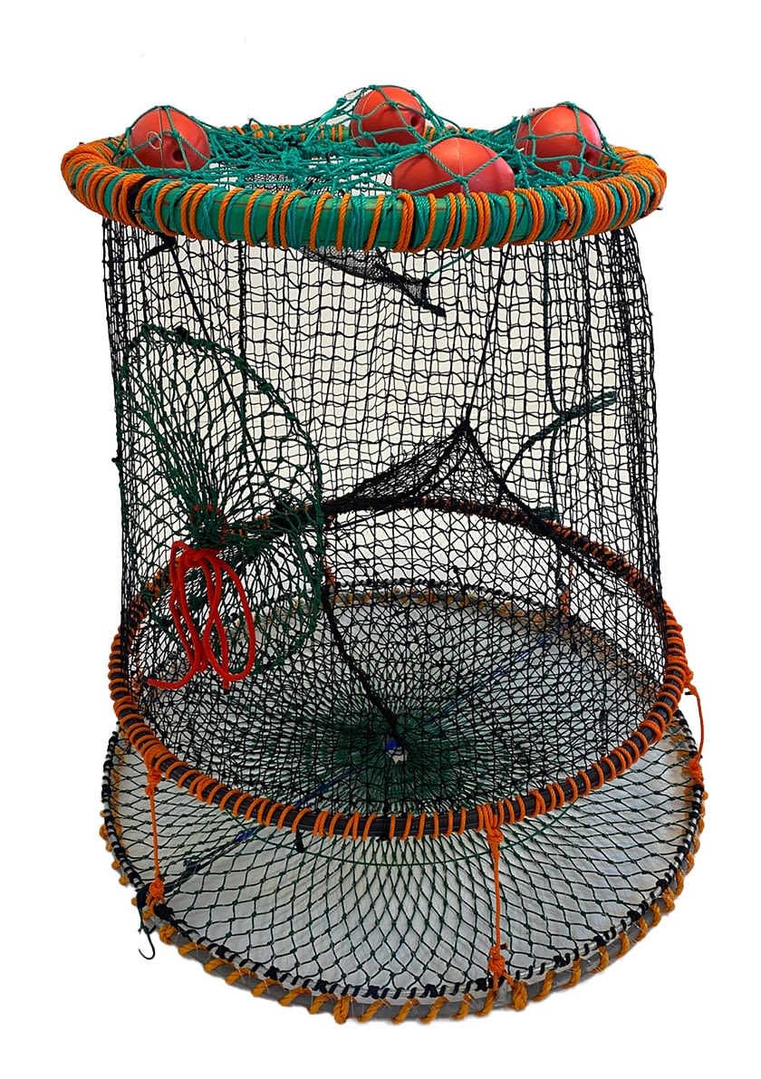 Fisketeine havteine