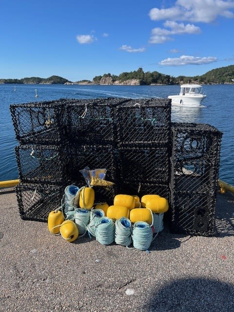 Hummerteine 9 kg komplett sett 10 teiner | OK Marine