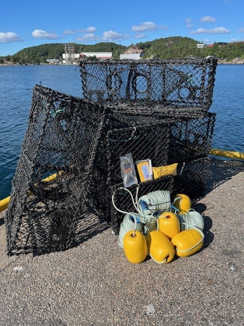 Hummerteine 9 kg komplett sett 5 teiner | OK Marine