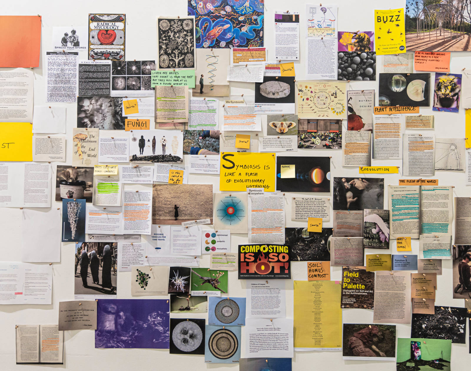 Research map - Studio Olafur Eliasson