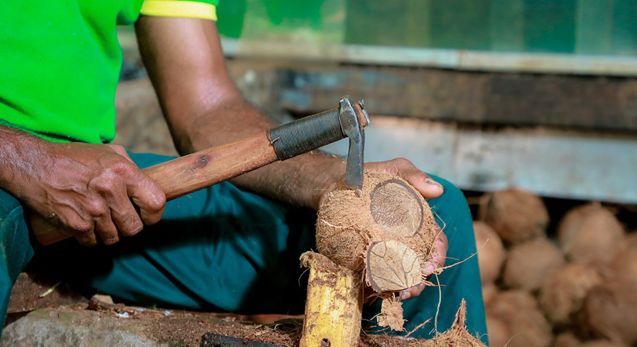 Cocomate - One Degree Organics