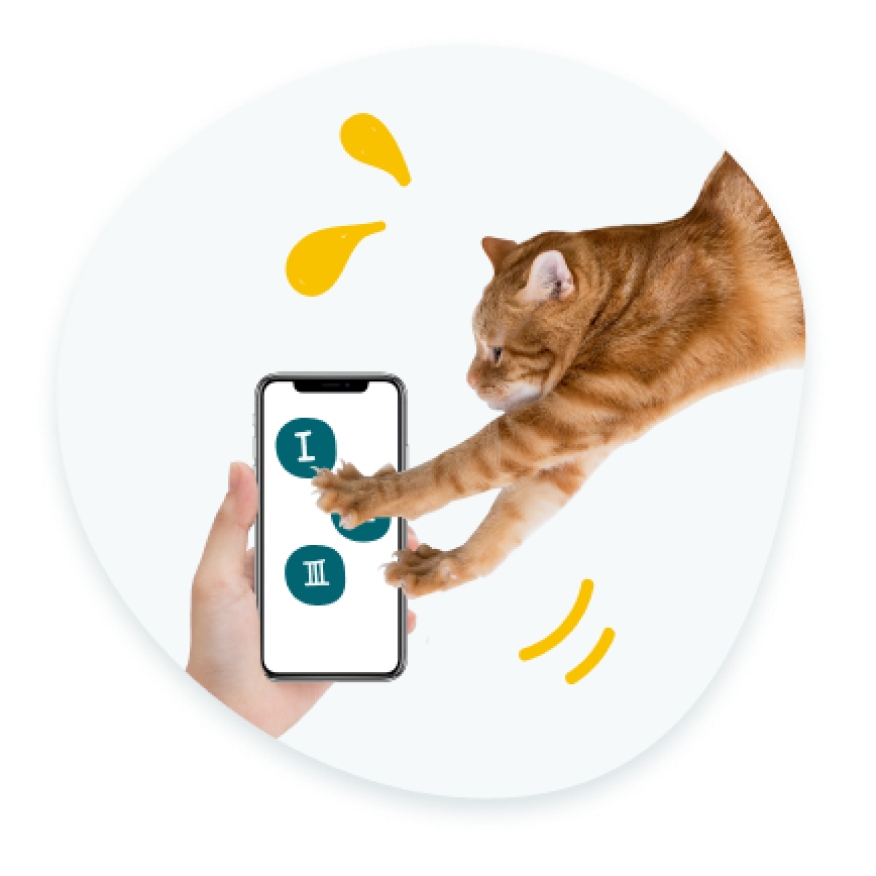 OneDegree Pet Insurance One and Only Pet CEO Plan® In Town