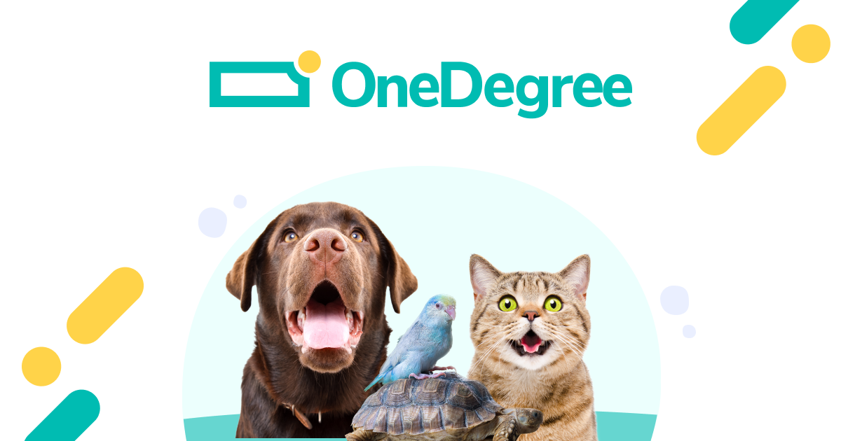 OneDegree寵物保險 全港唯一寵物CEO Plan®
