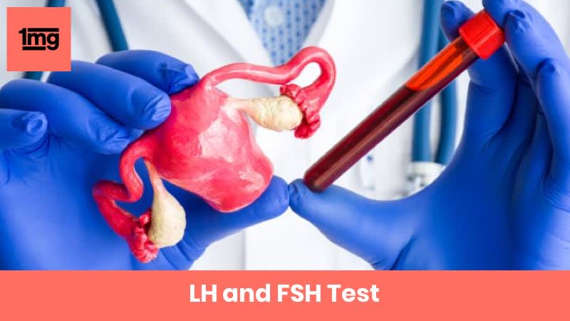 LH & FSH : Purpose & Normal Range of Results | 1mg