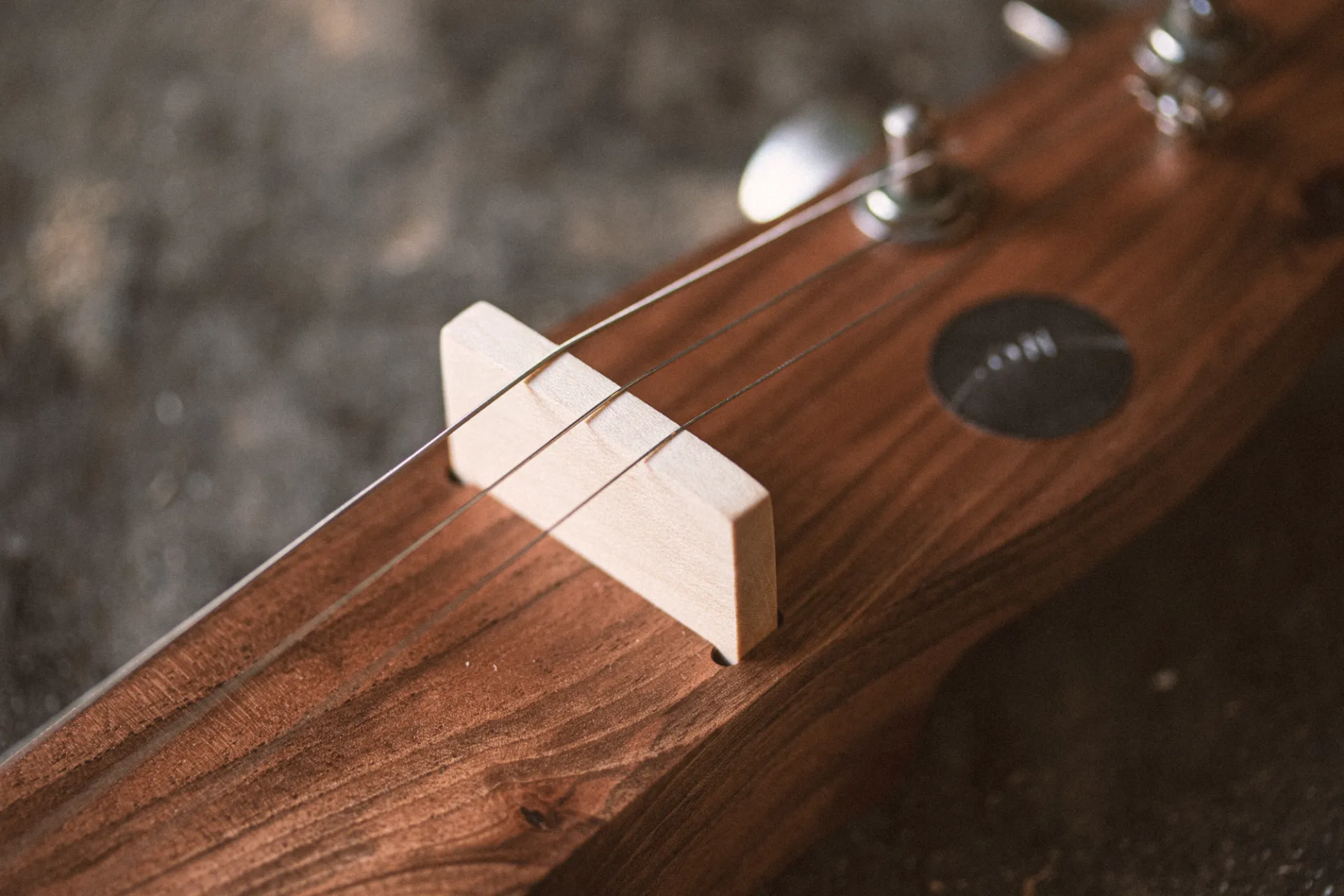 Dohle - a stringed instrument for sound explorers | On Guitars