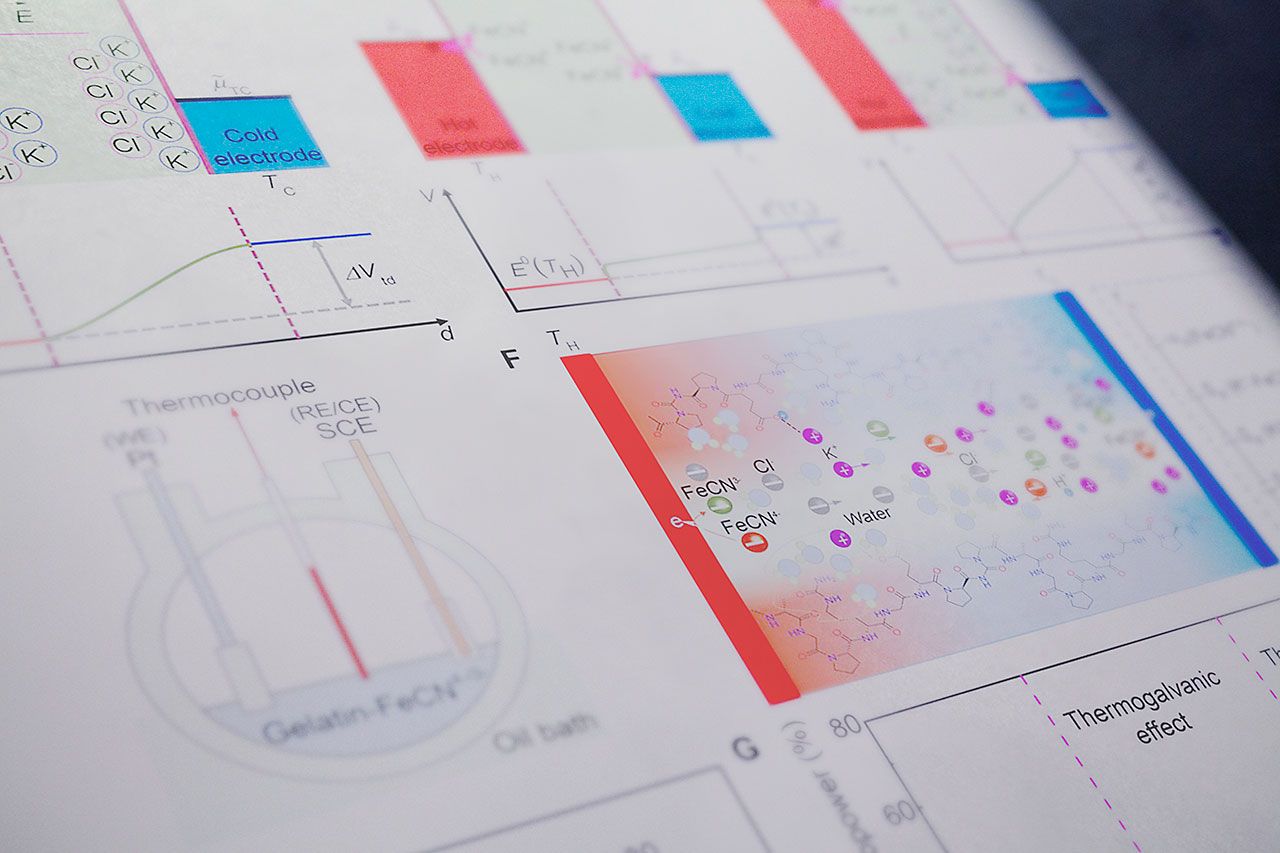 Energy harvesting from body heat using gelatin | ONiO