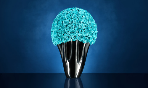 Luxury Rose Articles and News - OnlyRoses