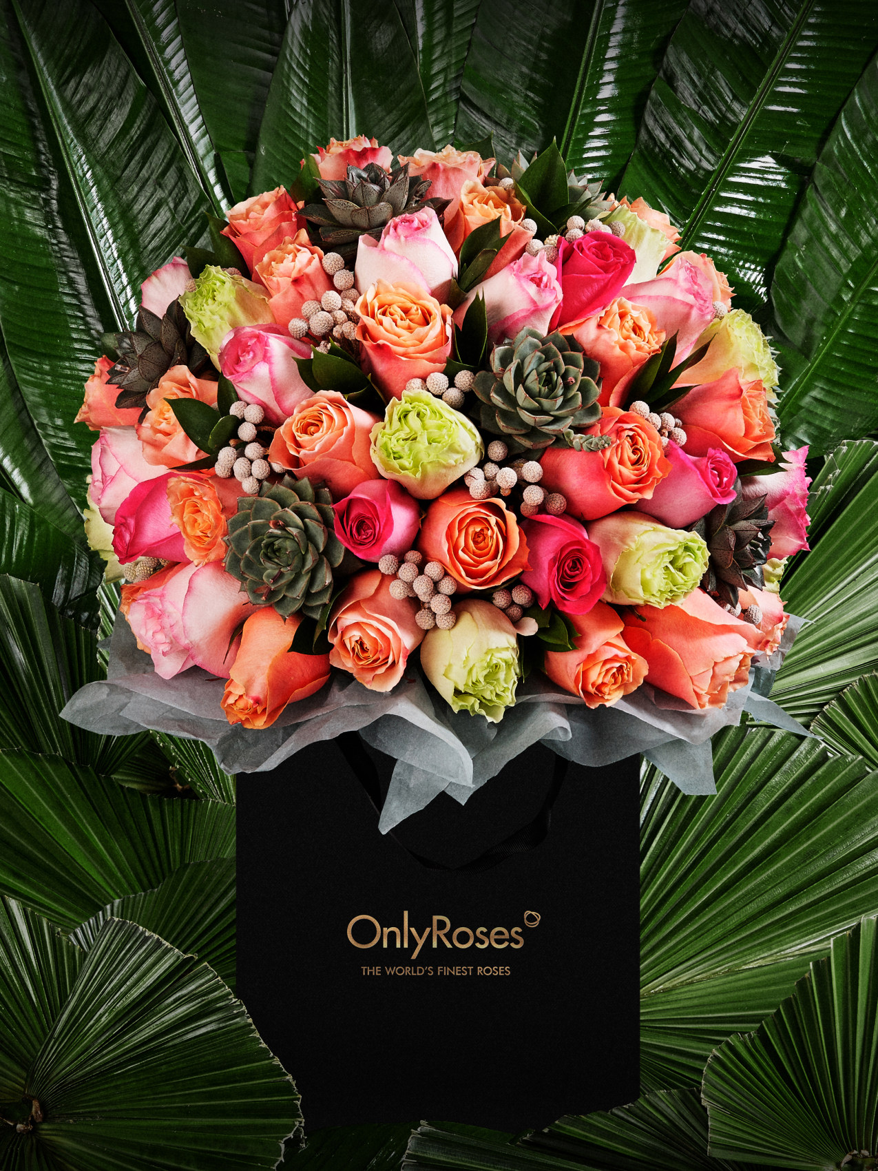 OnlyRoses Beverly Hills