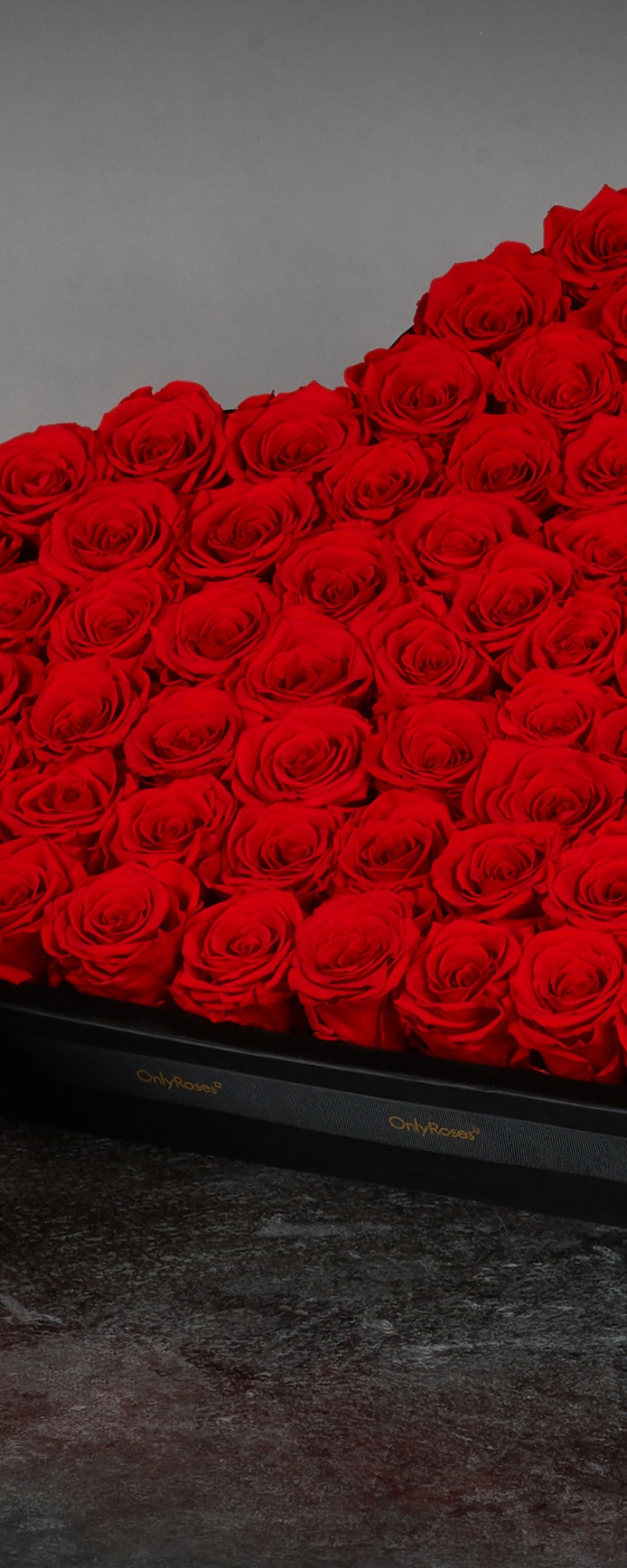 Roses Delivered Dubai - Flower Delivery Service by OnlyRoses