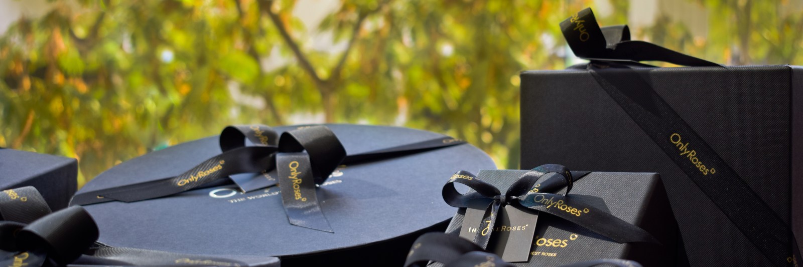 OnlyRoses Beverly Hills