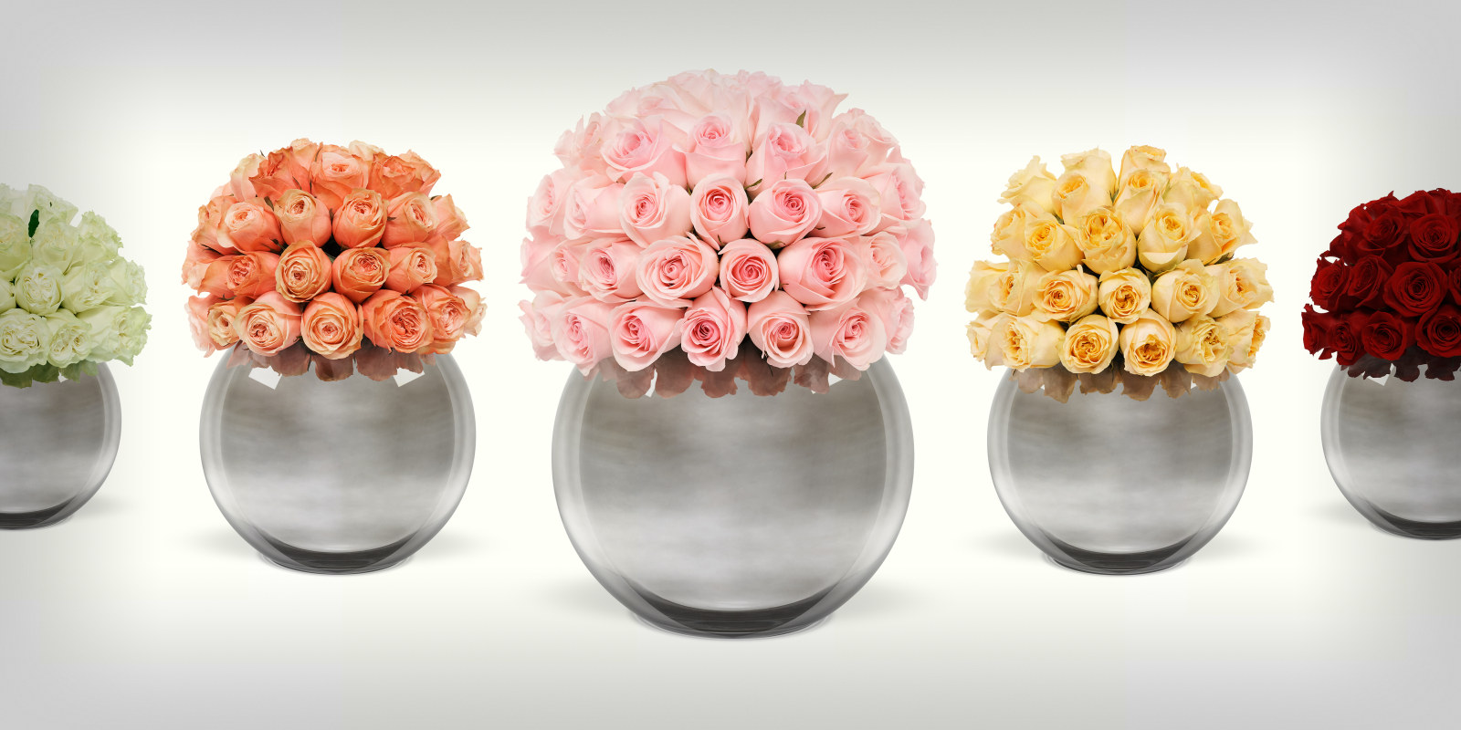 Roses Delivered London - Flower Delivery Service by OnlyRoses