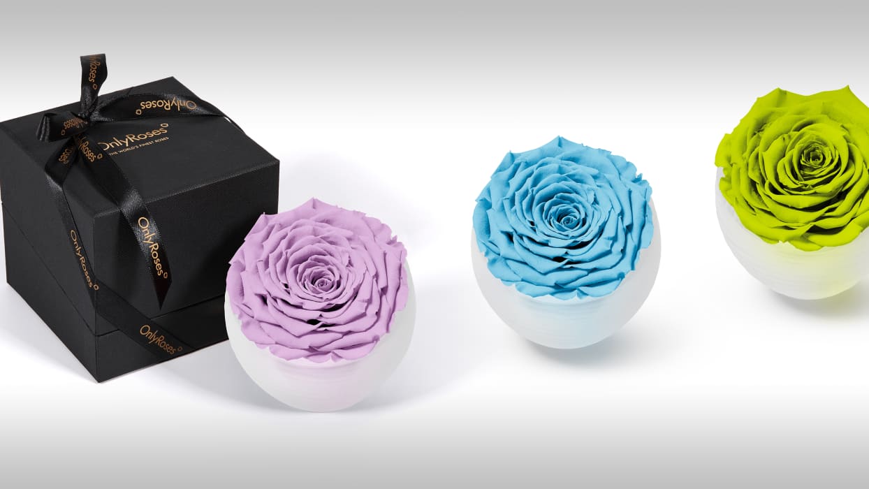 Luxury Roses Delivered in London | OnlyRoses