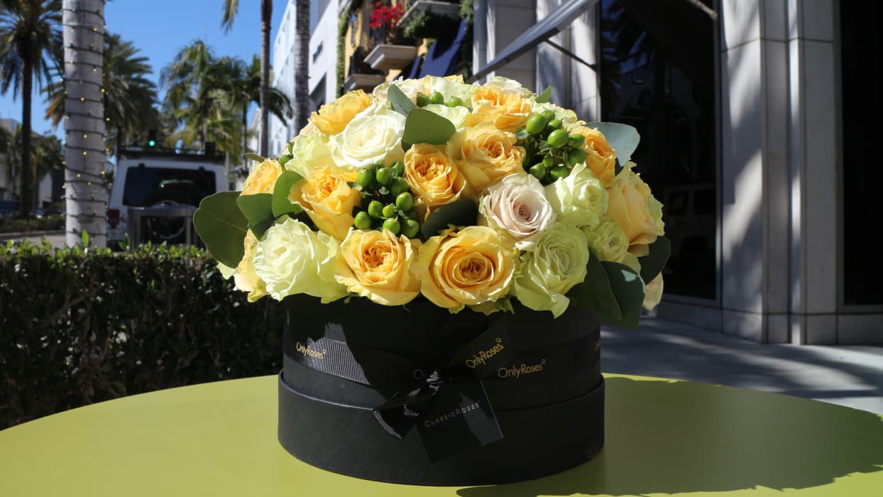 Luxury Roses - Delivered in Beverly Hills | OnlyRoses