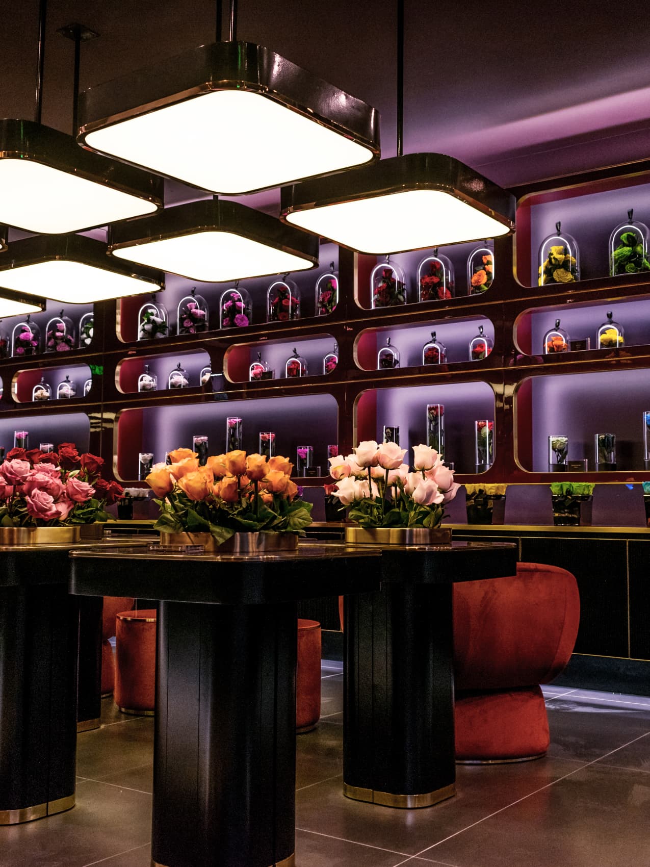 Luxury Roses Delivered – Beverly Hills | OnlyRoses