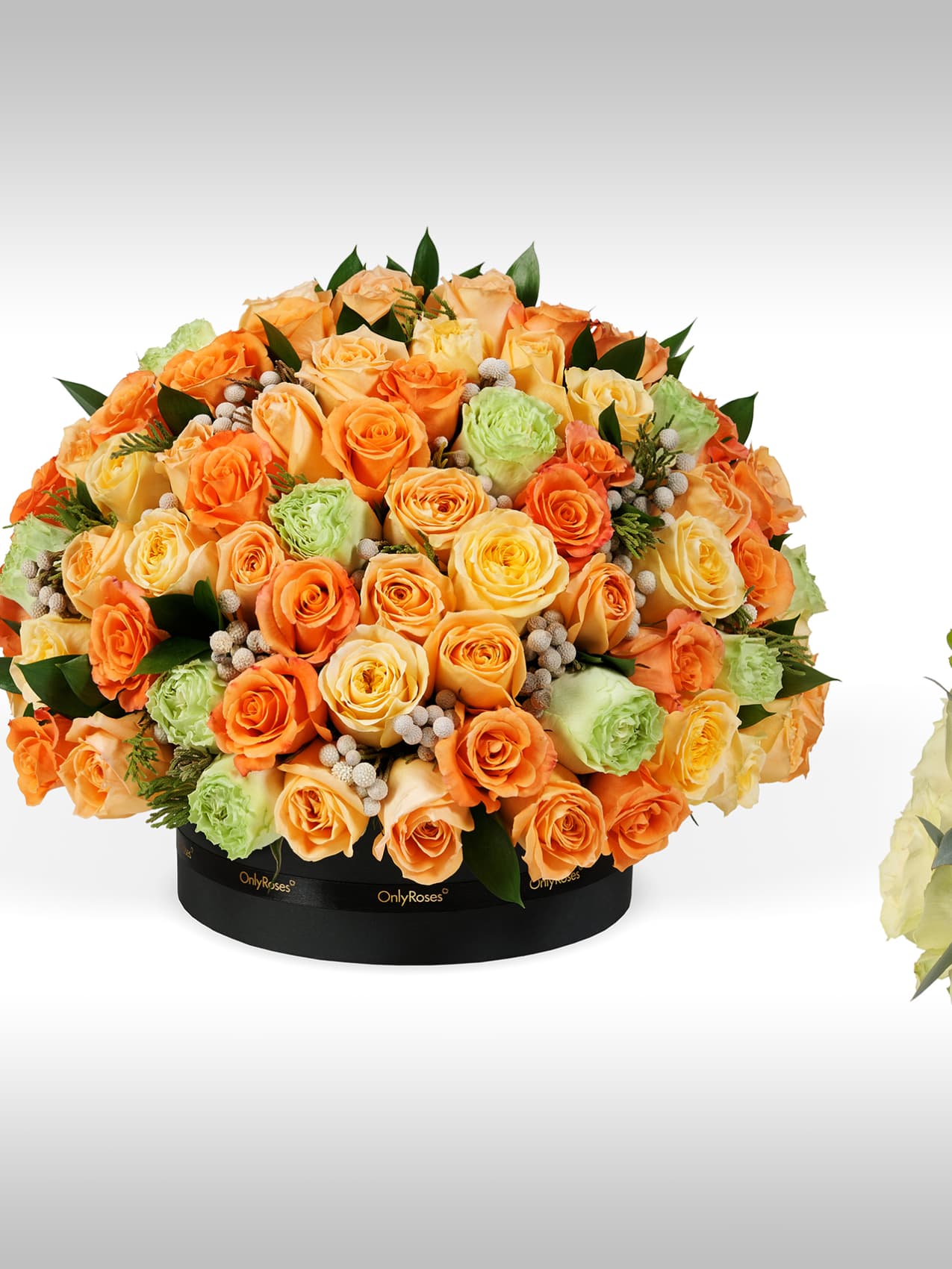 Luxury Roses Delivered - London | OnlyRoses