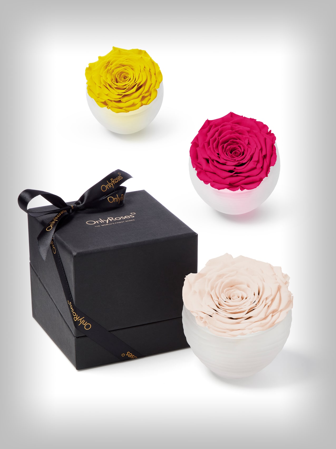 Luxury Roses - Delivered in Beverly Hills | OnlyRoses