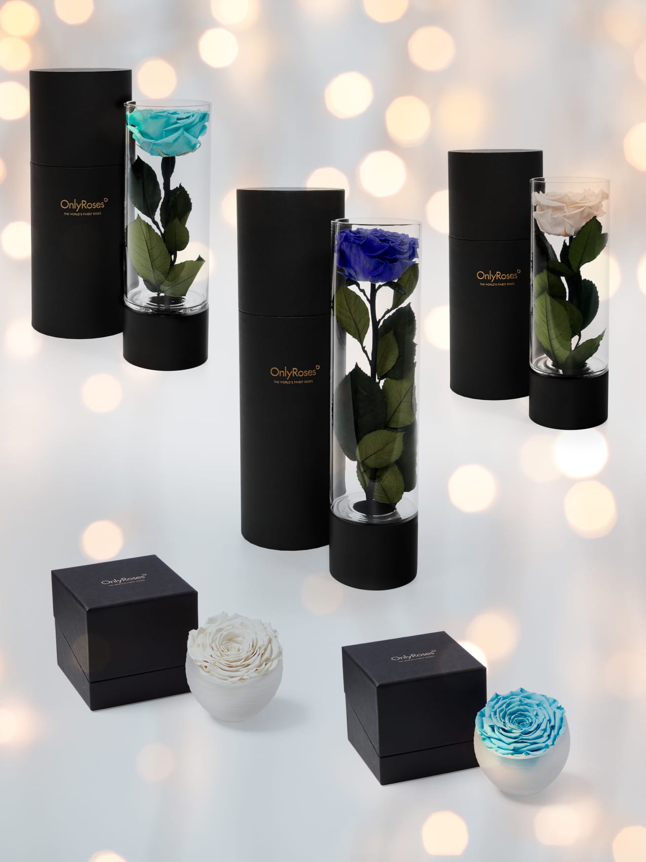 Luxury Roses Delivered in Qatar | OnlyRoses