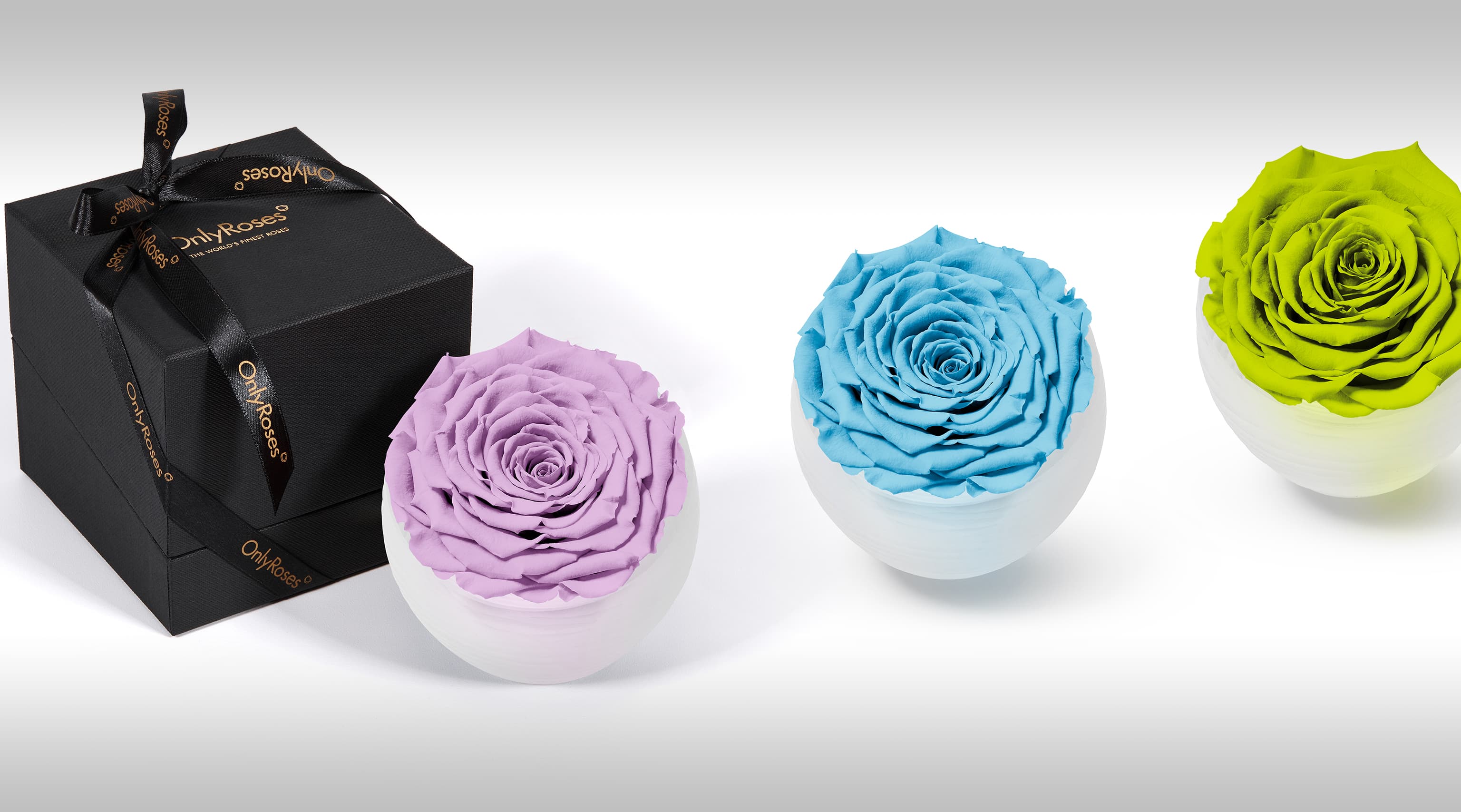 Luxury Roses Delivered in London | OnlyRoses