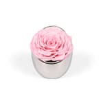 Infinite Rose Luna - London | OnlyRoses