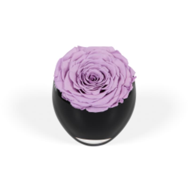 The Platinum Jubilee Collection