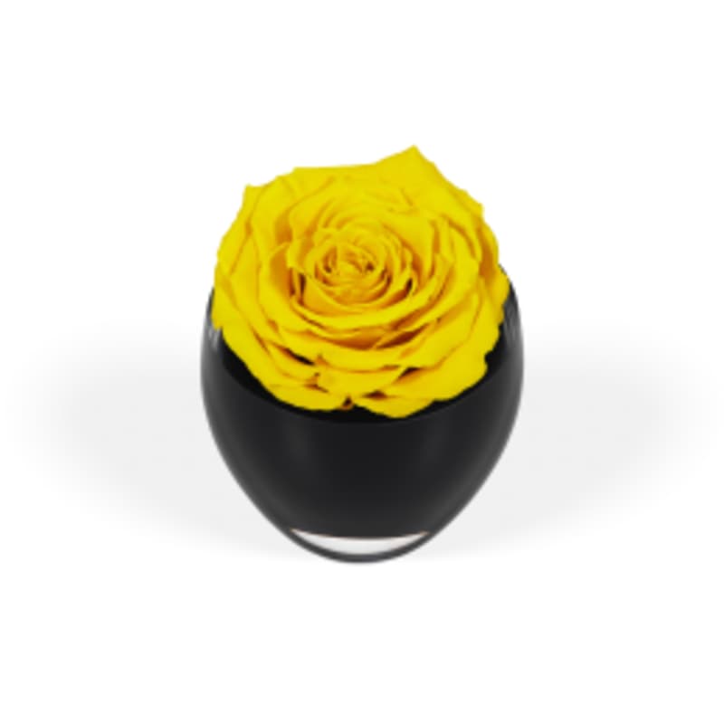 The Pantone Colour of the Year 2021