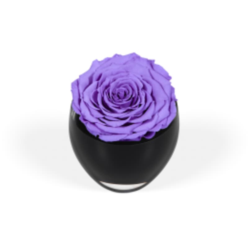 The Pantone Colour of the Year 2022